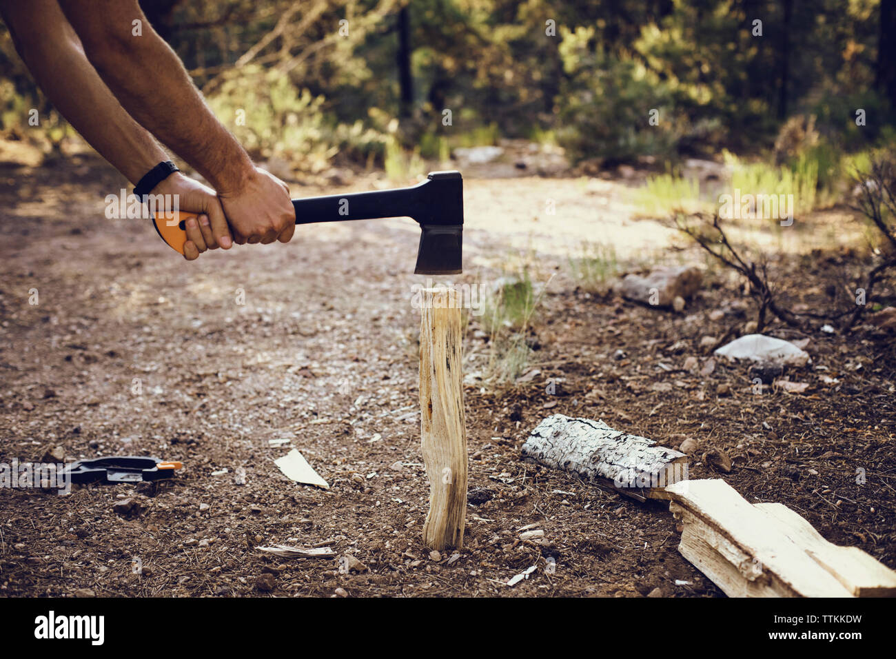 Cutting woods Banque de photographies et d’images à haute résolution ...
