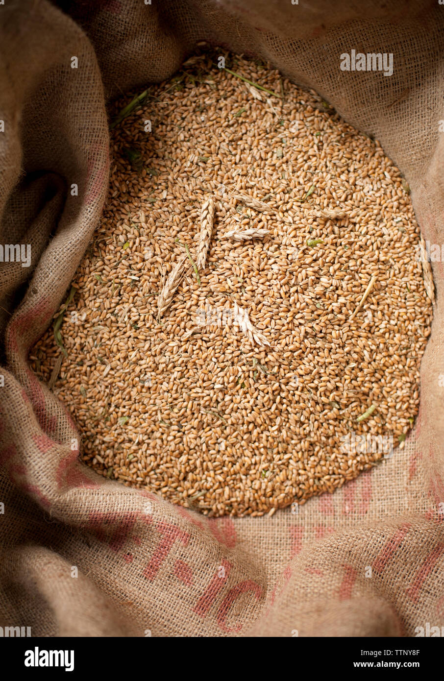Sack of wheat Banque de photographies et d’images à haute résolution ...