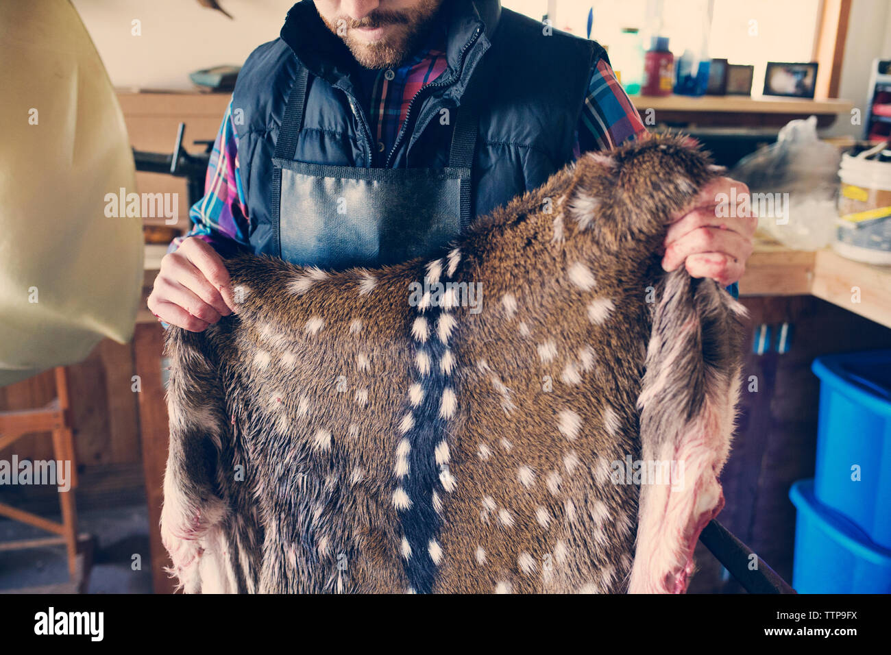 Taxidermiste taxidermie Banque de photographies et d’images à haute ...