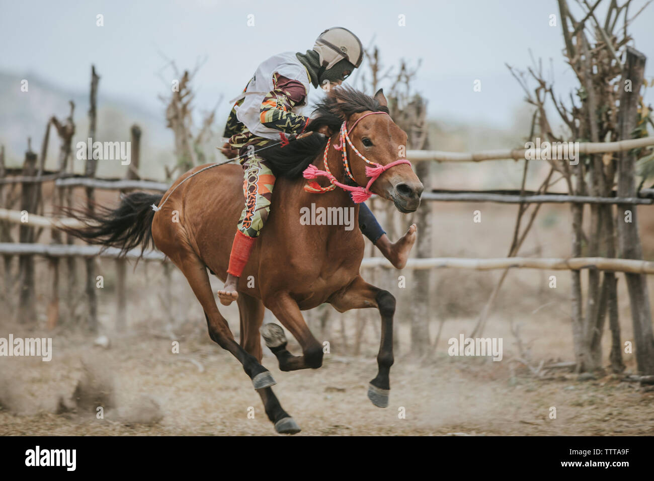 Tradition des courses de chevaux Banque de photographies et d’images à ...