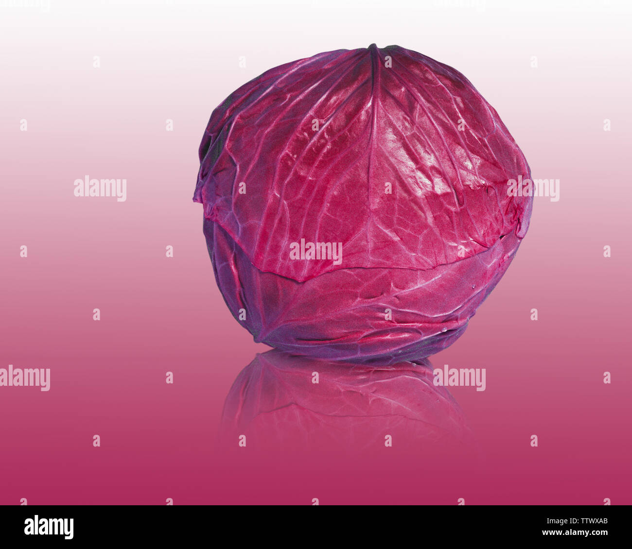 Choux rouges Banque de photographies et d’images à haute résolution - Alamy