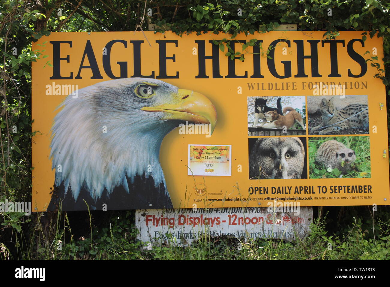 Fondation de la faune eagle heights Banque de photographies et d’images ...