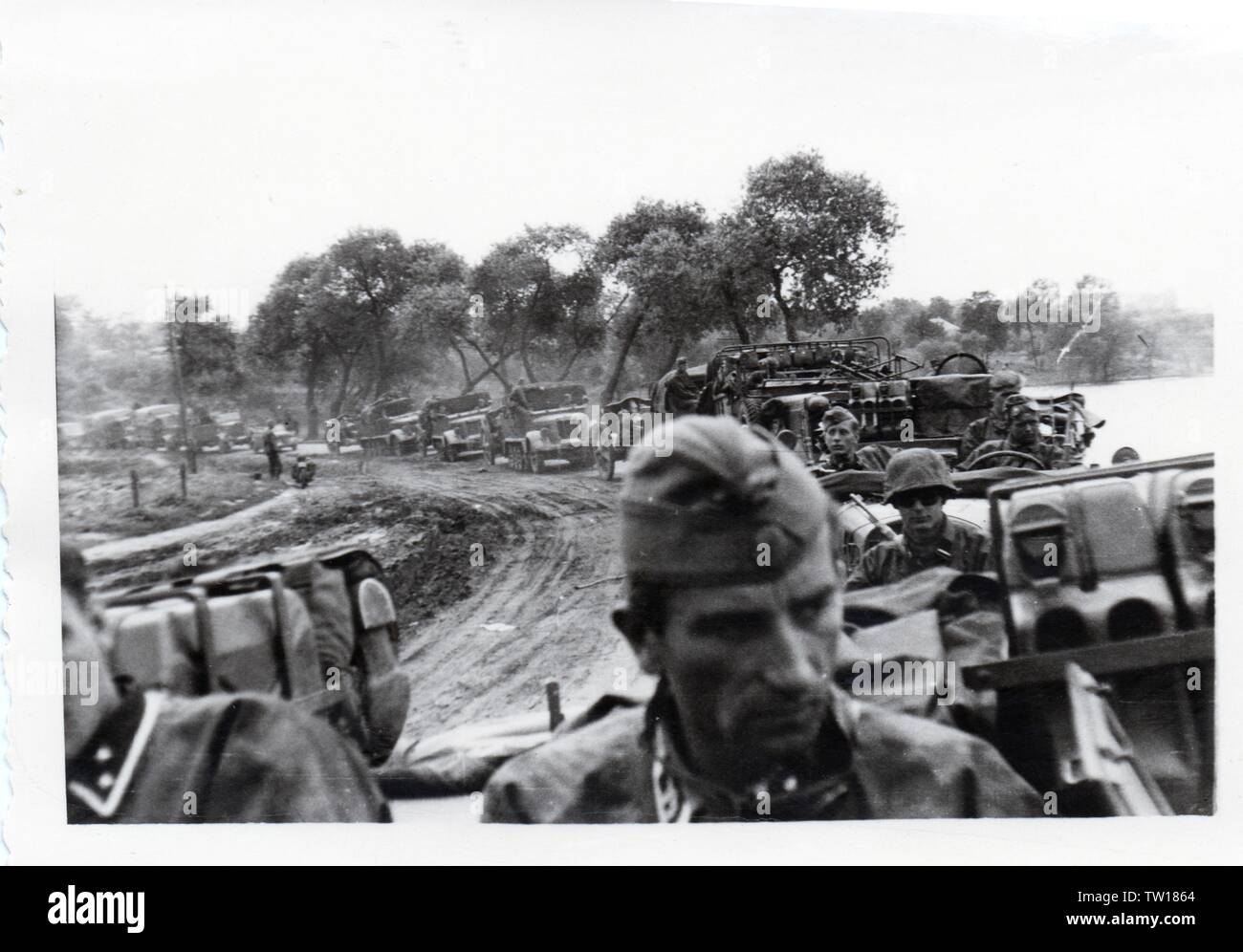 Waffen Ss Panzer Division Wiking Banque d'image et photos - Alamy