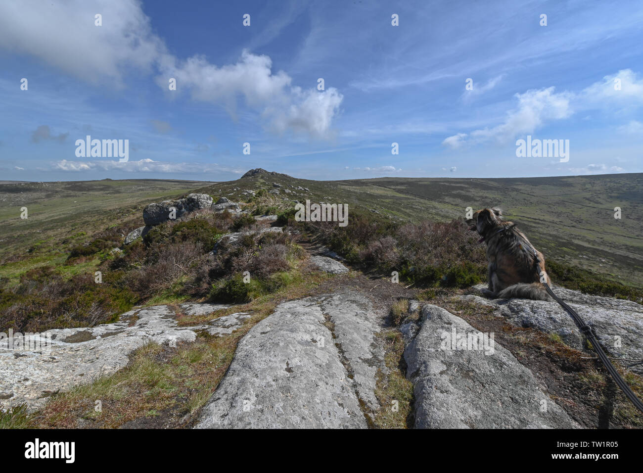 Bas blancs Banque de photographies et d’images à haute résolution - Alamy