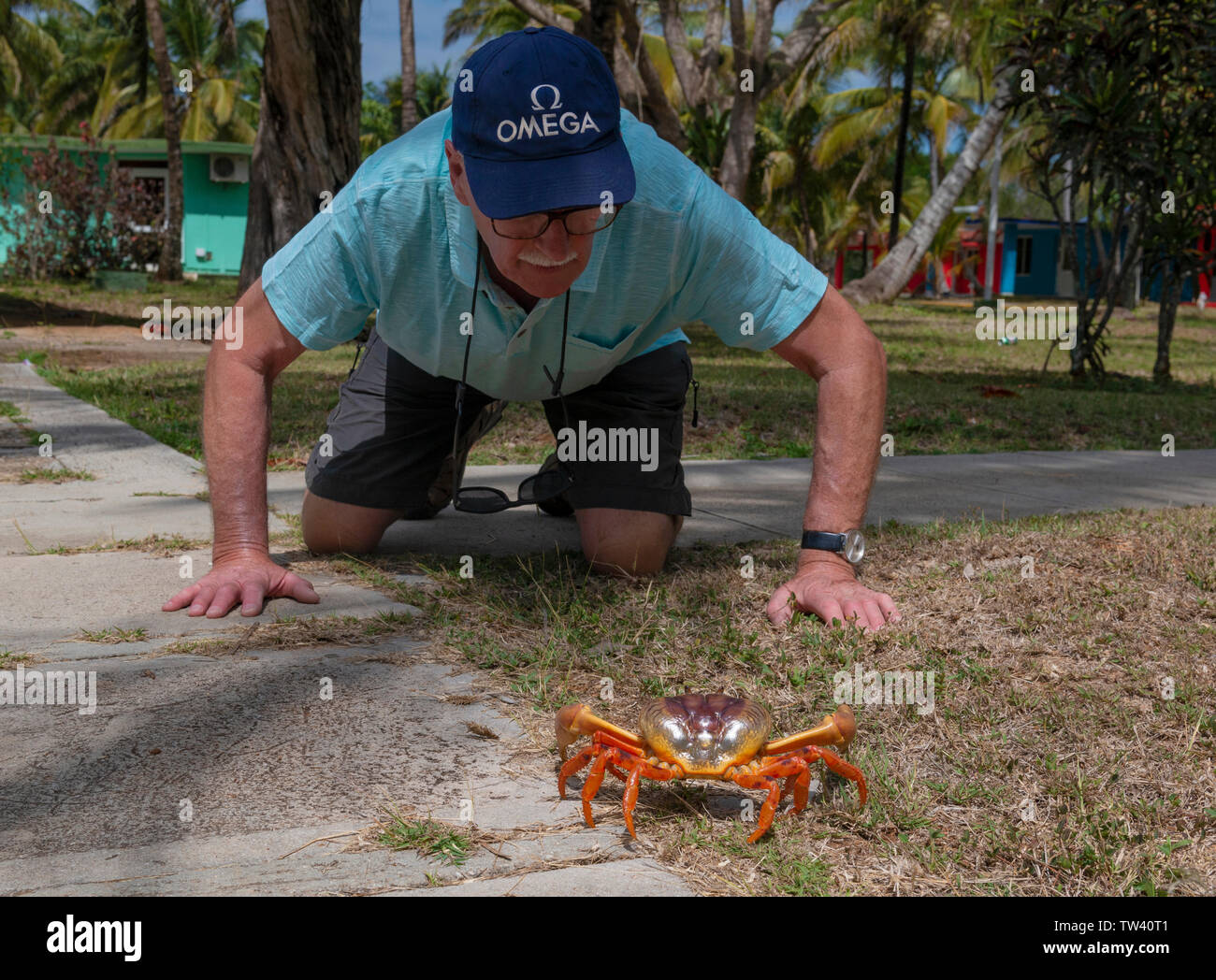 Crabes de terre Banque de photographies et d’images à haute résolution ...