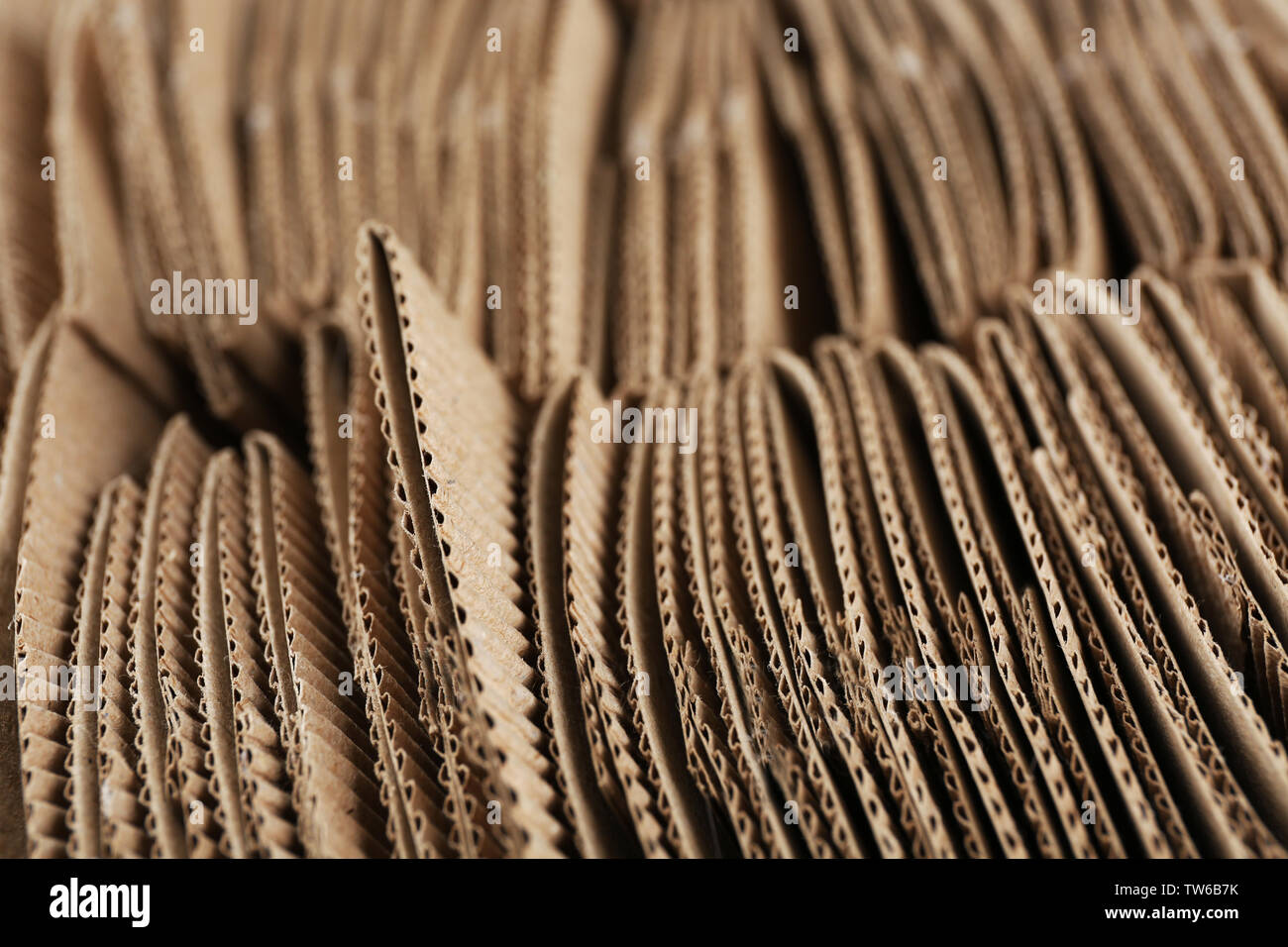 Feuilles de carton Banque de photographies et d’images à haute ...