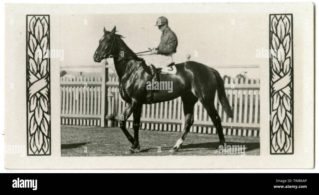 Jockey australien Banque de photographies et d’images à haute ...