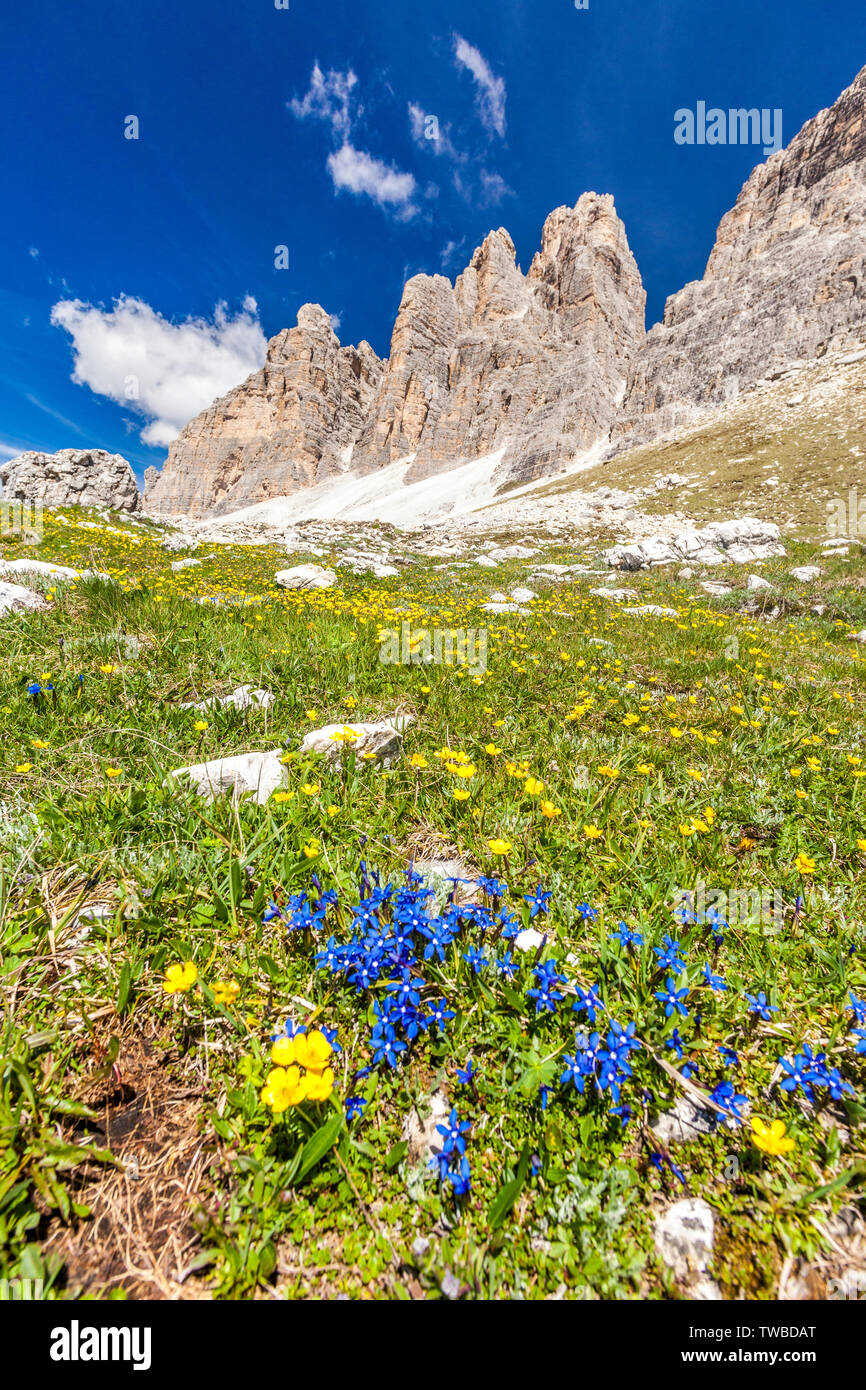 Dolomiti tre cime di lavaredo Banque de photographies et d’images à ...