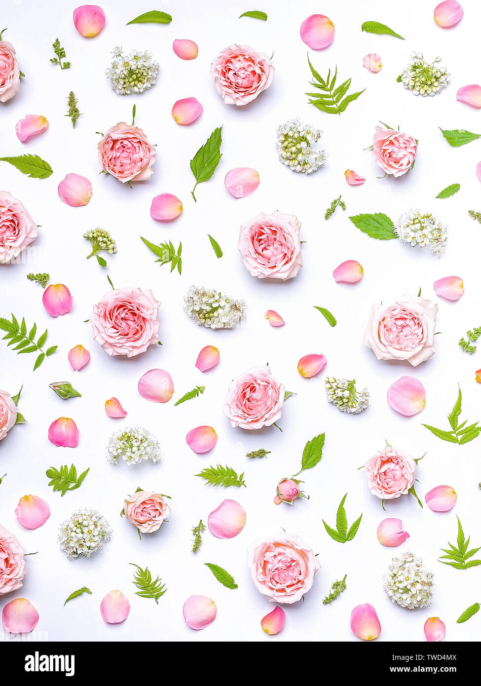 Fleur verticale Banque de photographies et d’images à haute résolution ...