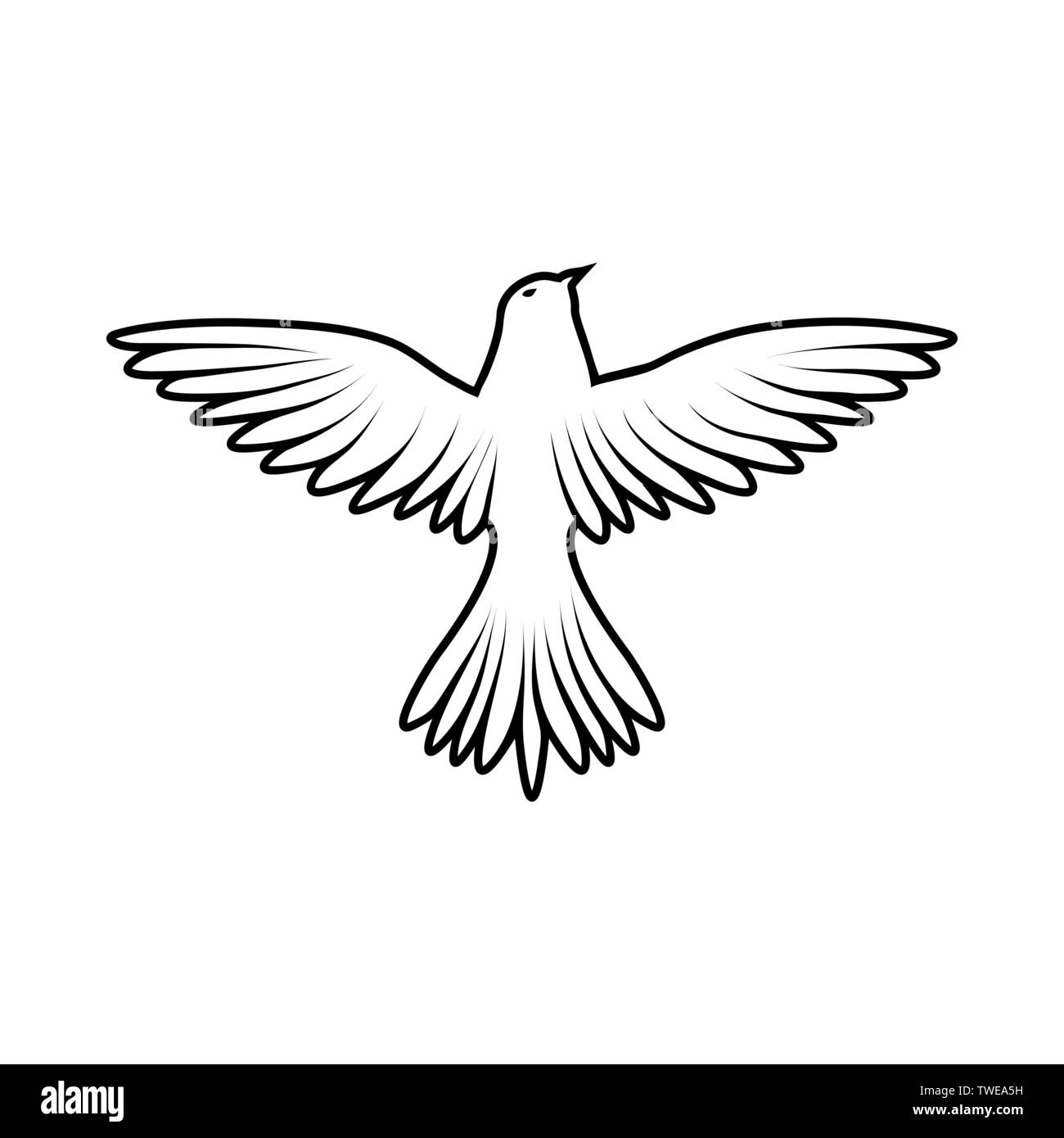 Croquis de l'oiseau. Avant-projet. Vector Illustration Image ...