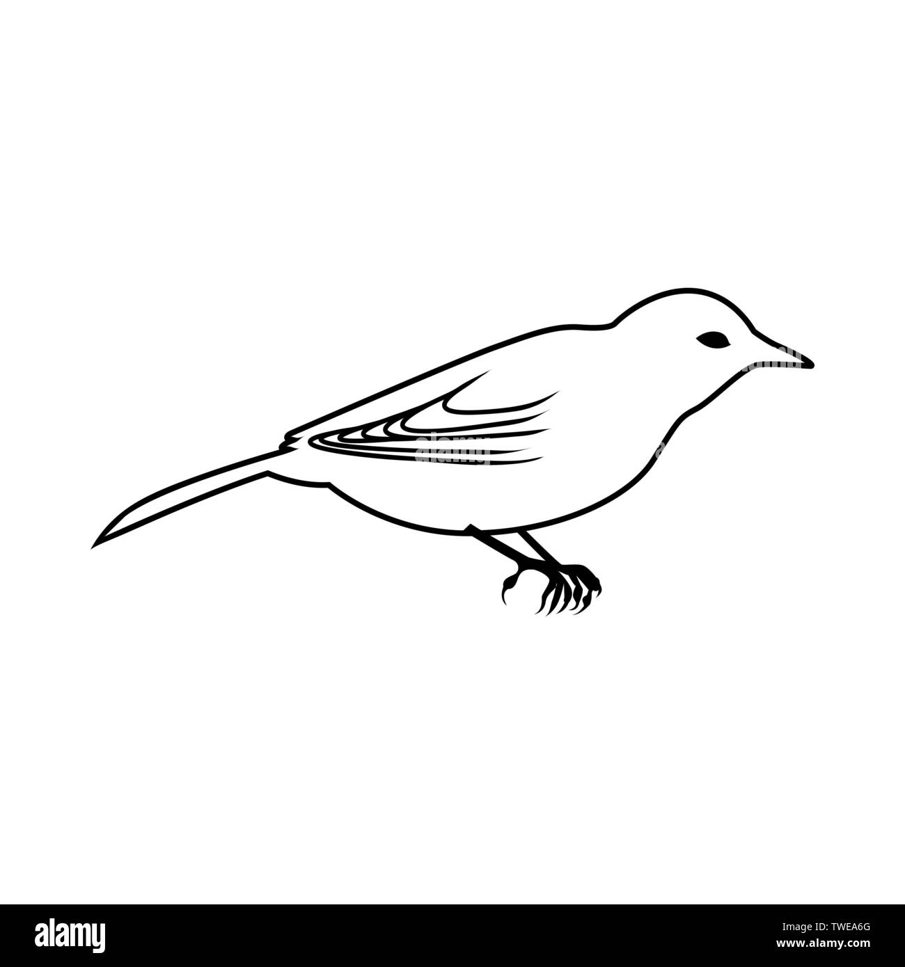 Croquis de l'oiseau. Avant-projet. Vector Illustration Image ...