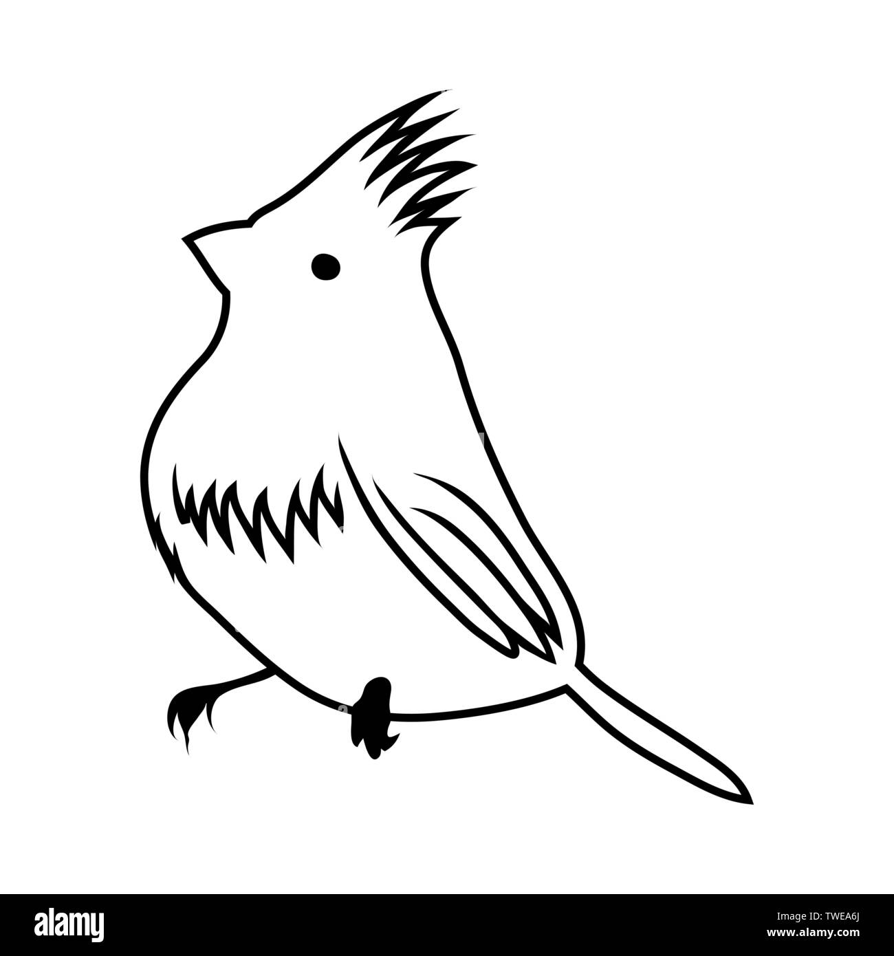 Croquis de l'oiseau. Avant-projet. Vector Illustration Image ...
