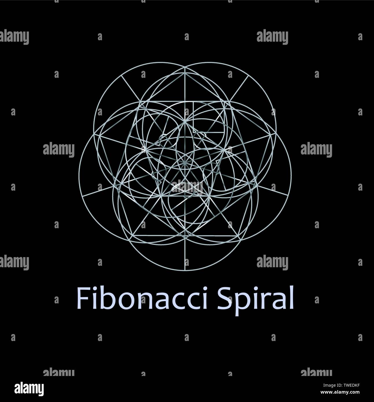 Fibonacci spiral Banque d'images vectorielles - Alamy