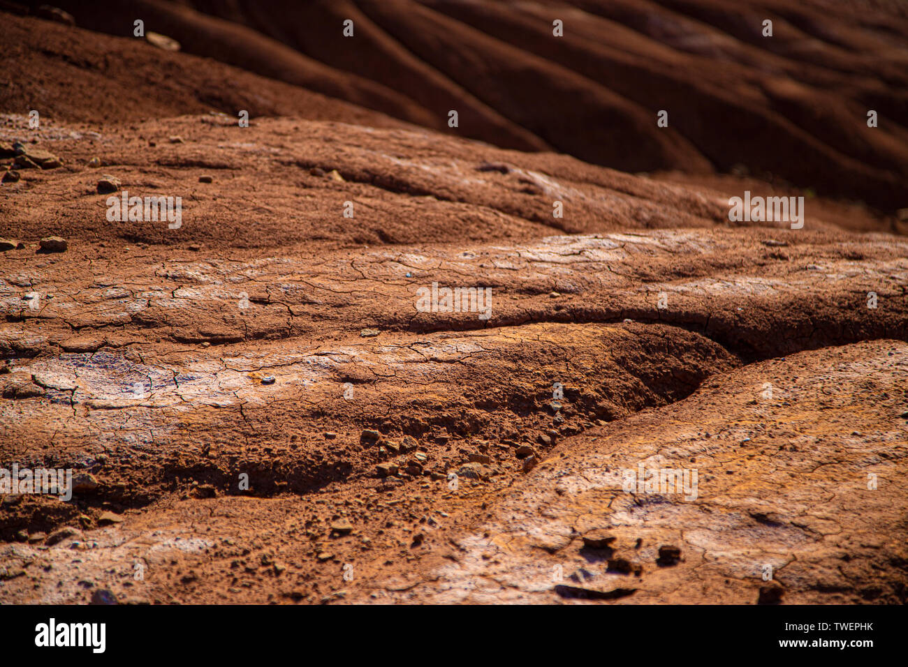 Sol sablonneux rouge Banque de photographies et d’images à haute ...