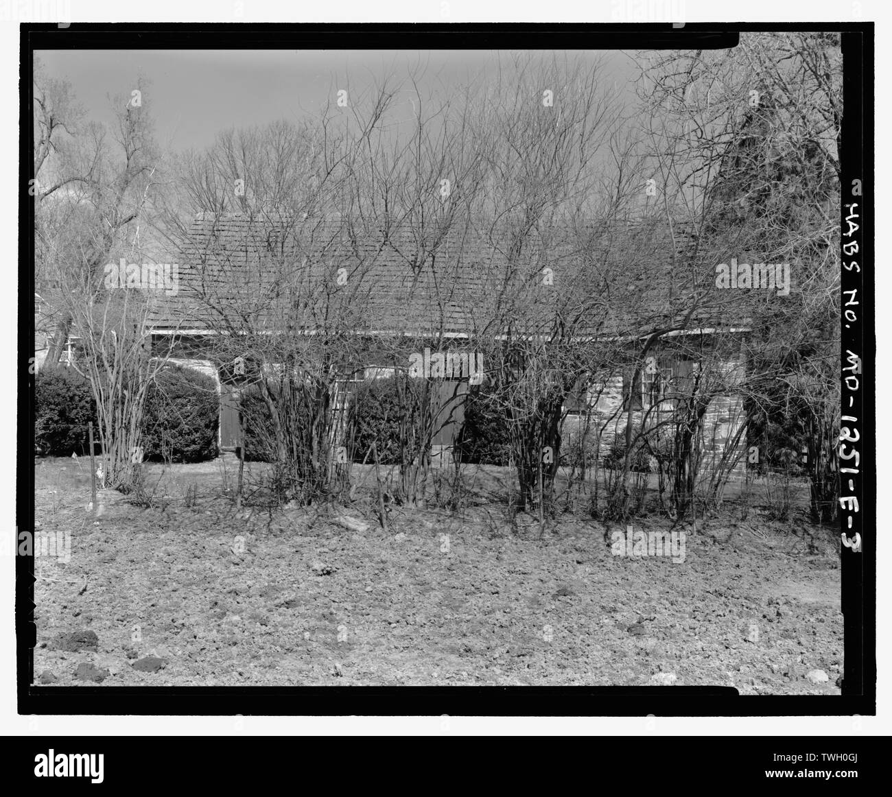Kathryn green Banque d'images détourées - Alamy