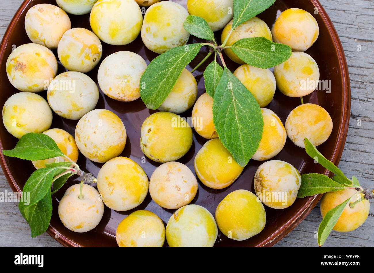 Cultivée écologiquement prunes jaunes dans un bol. Close up d'un tas de ...