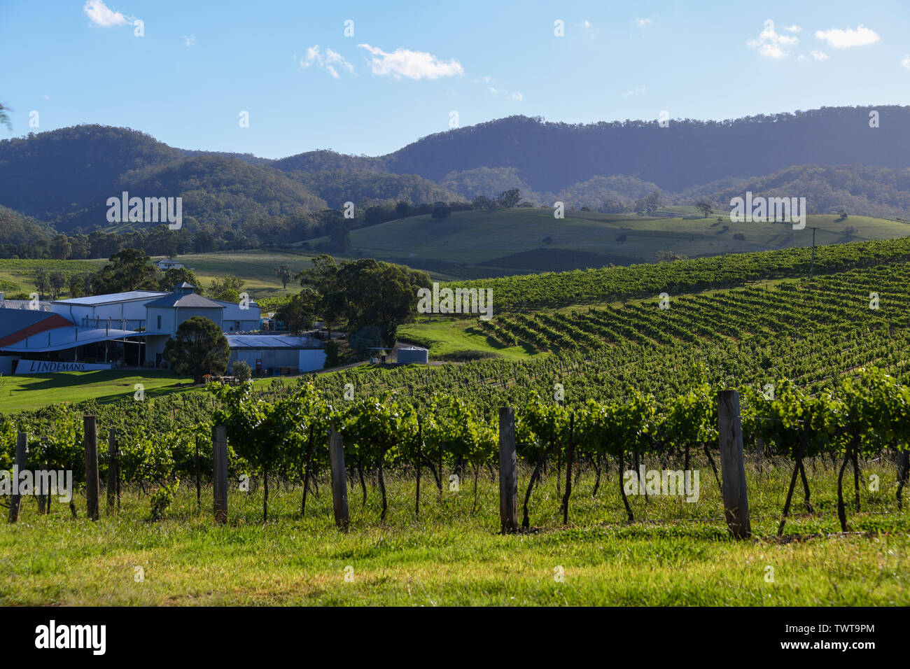 Australian wine Banque de photographies et d’images à haute résolution ...