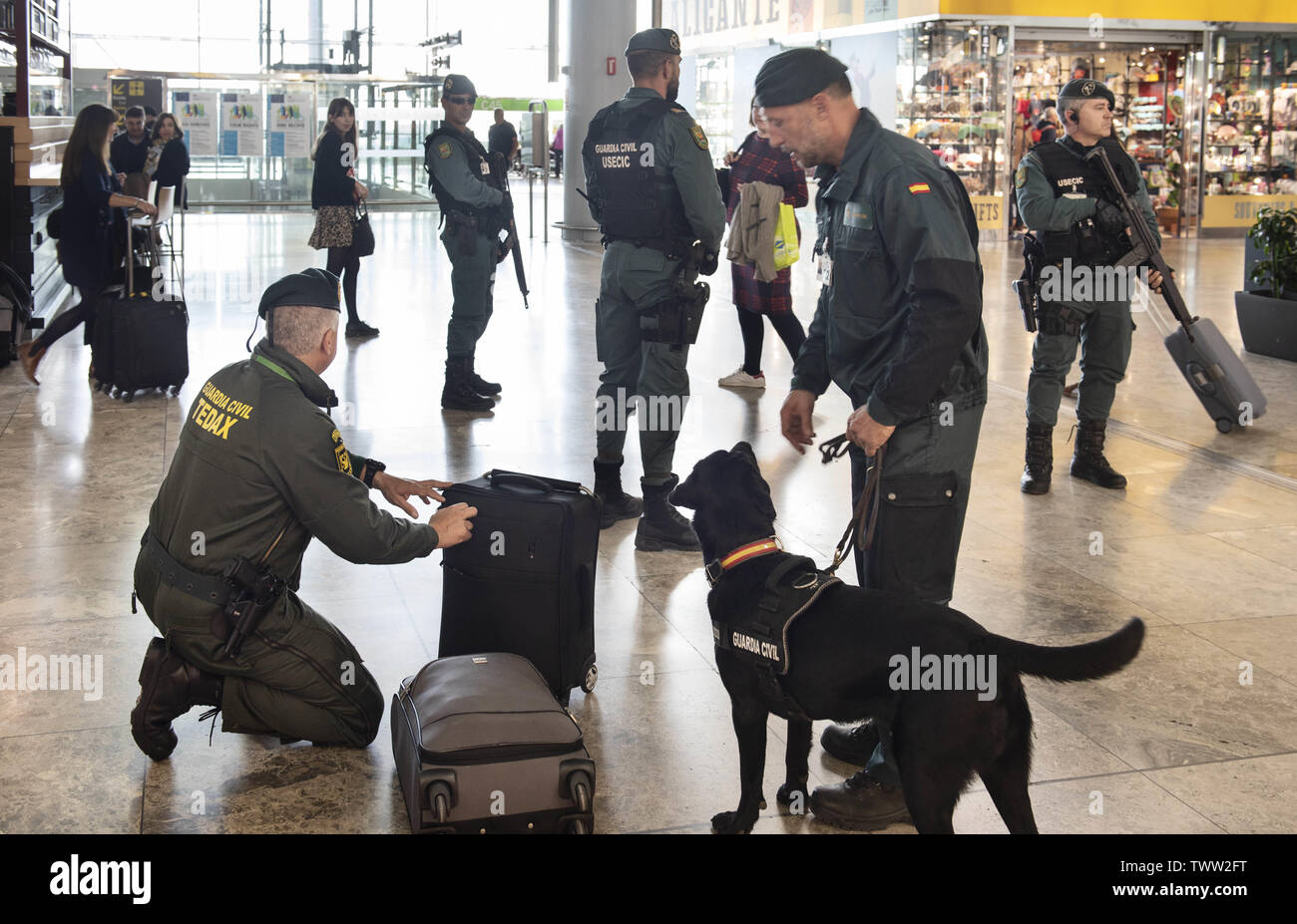 Chien de garde civil Banque de photographies et d’images à haute ...