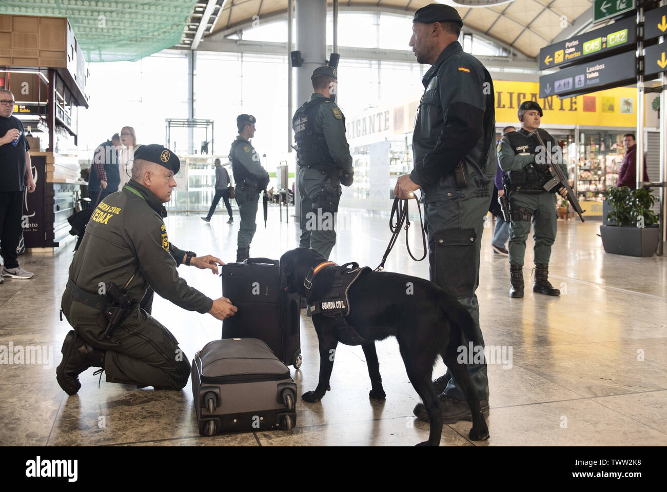 Chien de garde civil Banque de photographies et d’images à haute ...