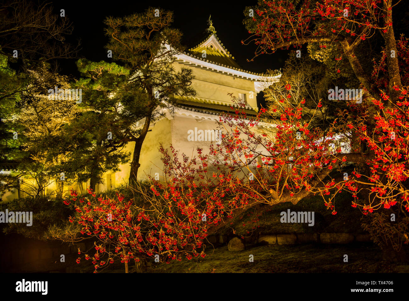 Japon kyoto Banque de photographies et d’images à haute résolution - Alamy