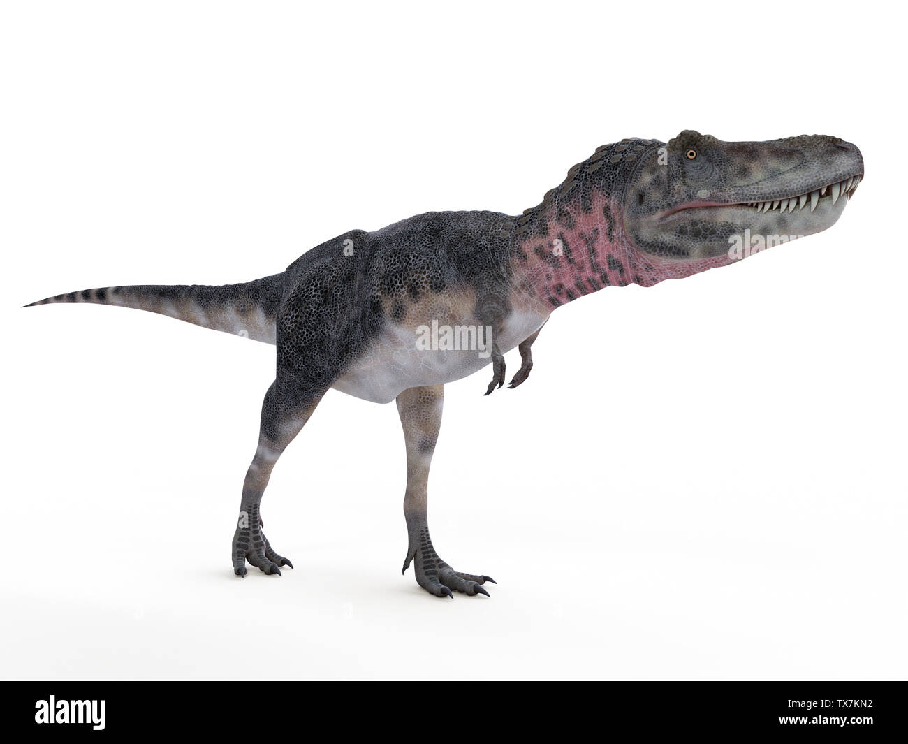 Tarbosaurus illustration Banque de photographies et d’images à haute ...