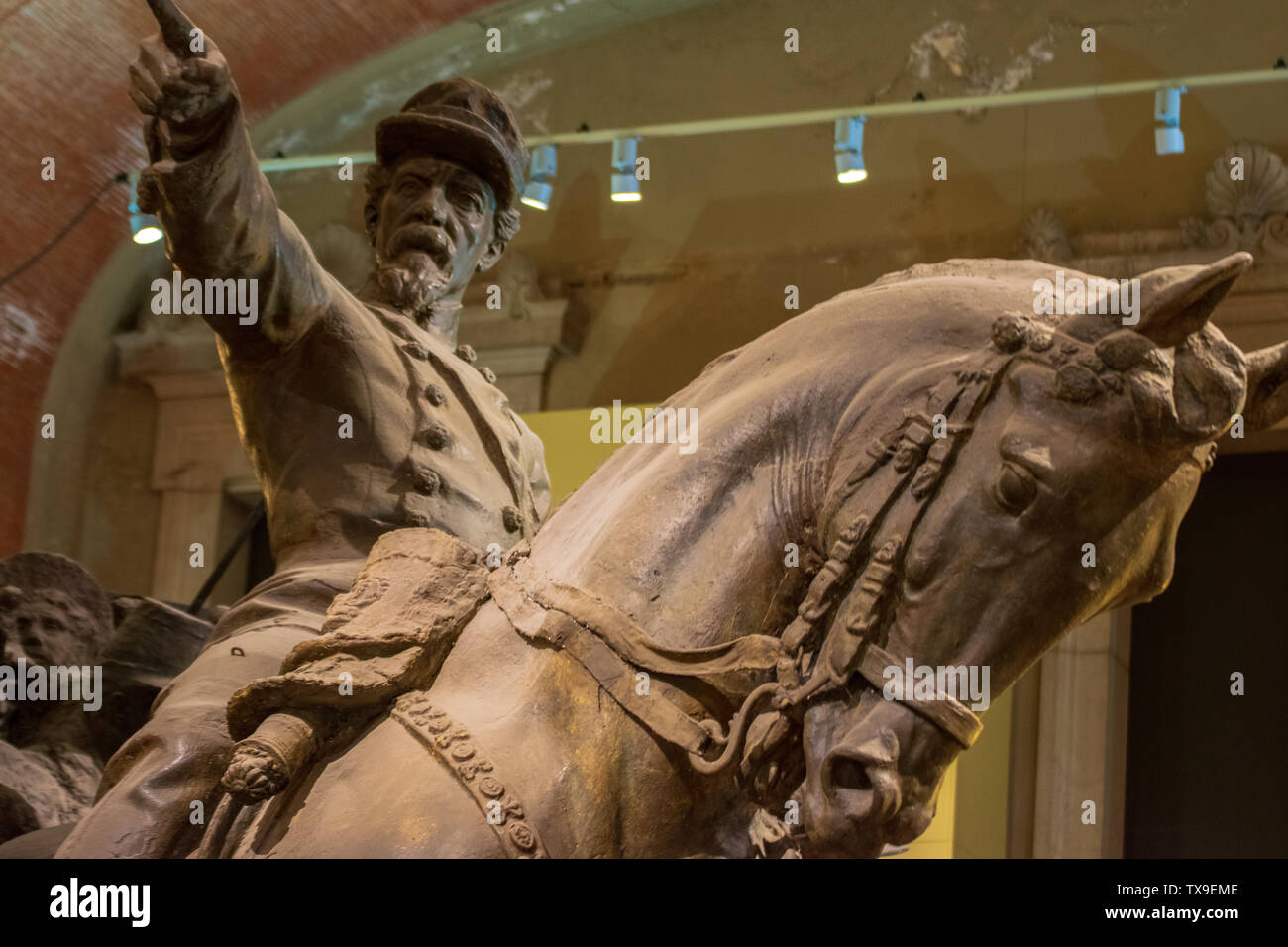 Vito pardo Banque de photographies et d’images à haute résolution - Alamy
