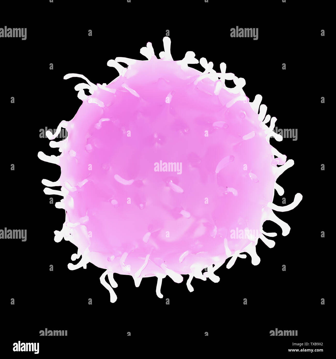 Structure des cellules souches Banque de photographies et d’images à ...