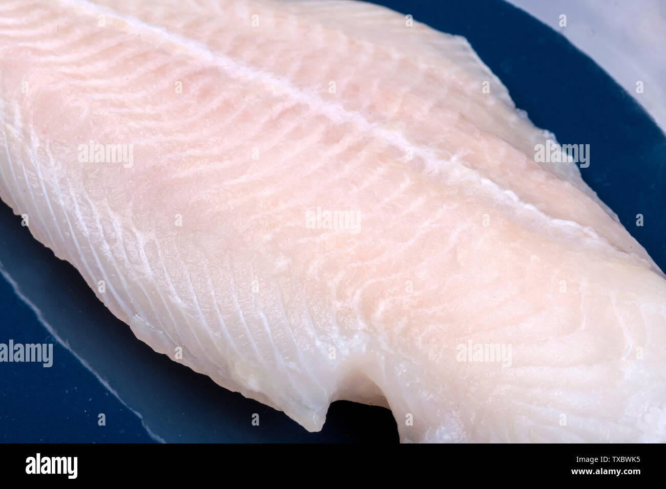 Poisson basa Banque de photographies et d’images à haute résolution - Alamy