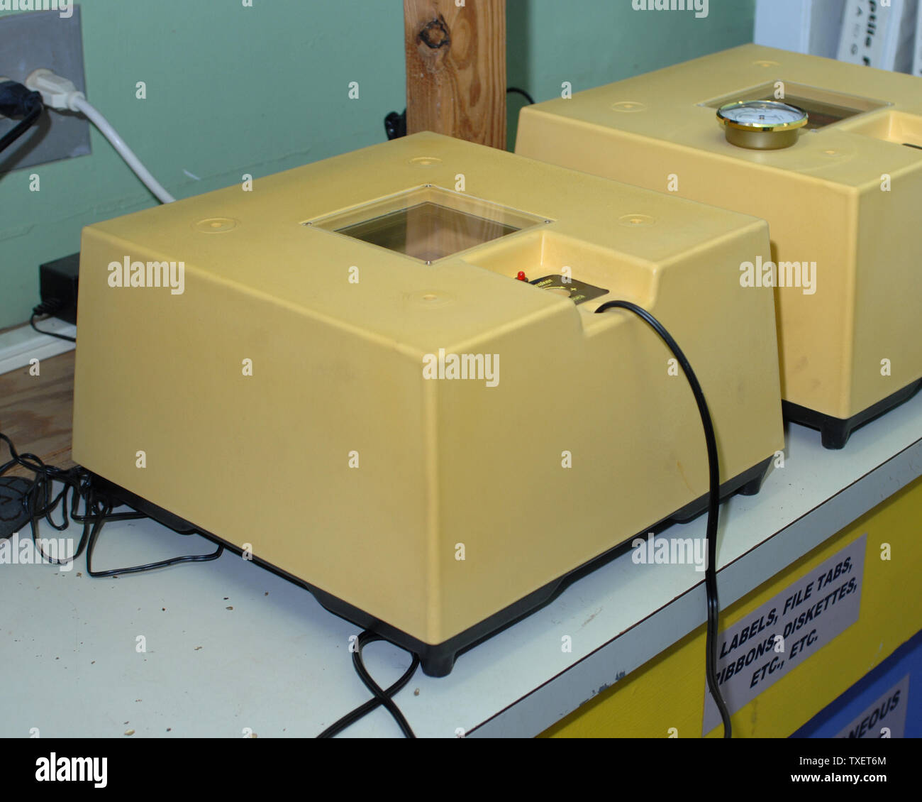 Tortue du zoo atlanta Banque de photographies et d’images à haute ...