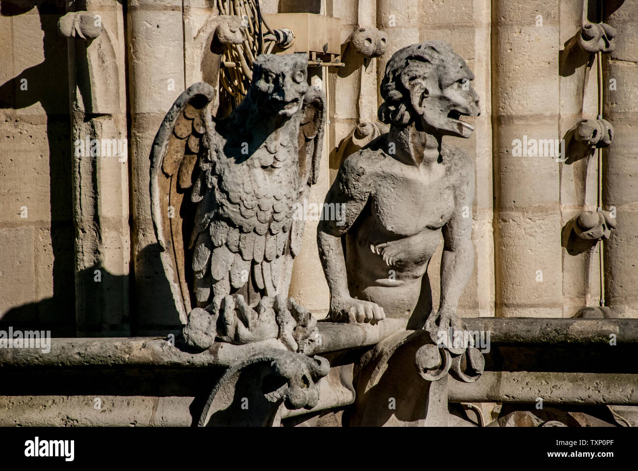 Le stryge de notre dame Banque de photographies et d’images à haute ...