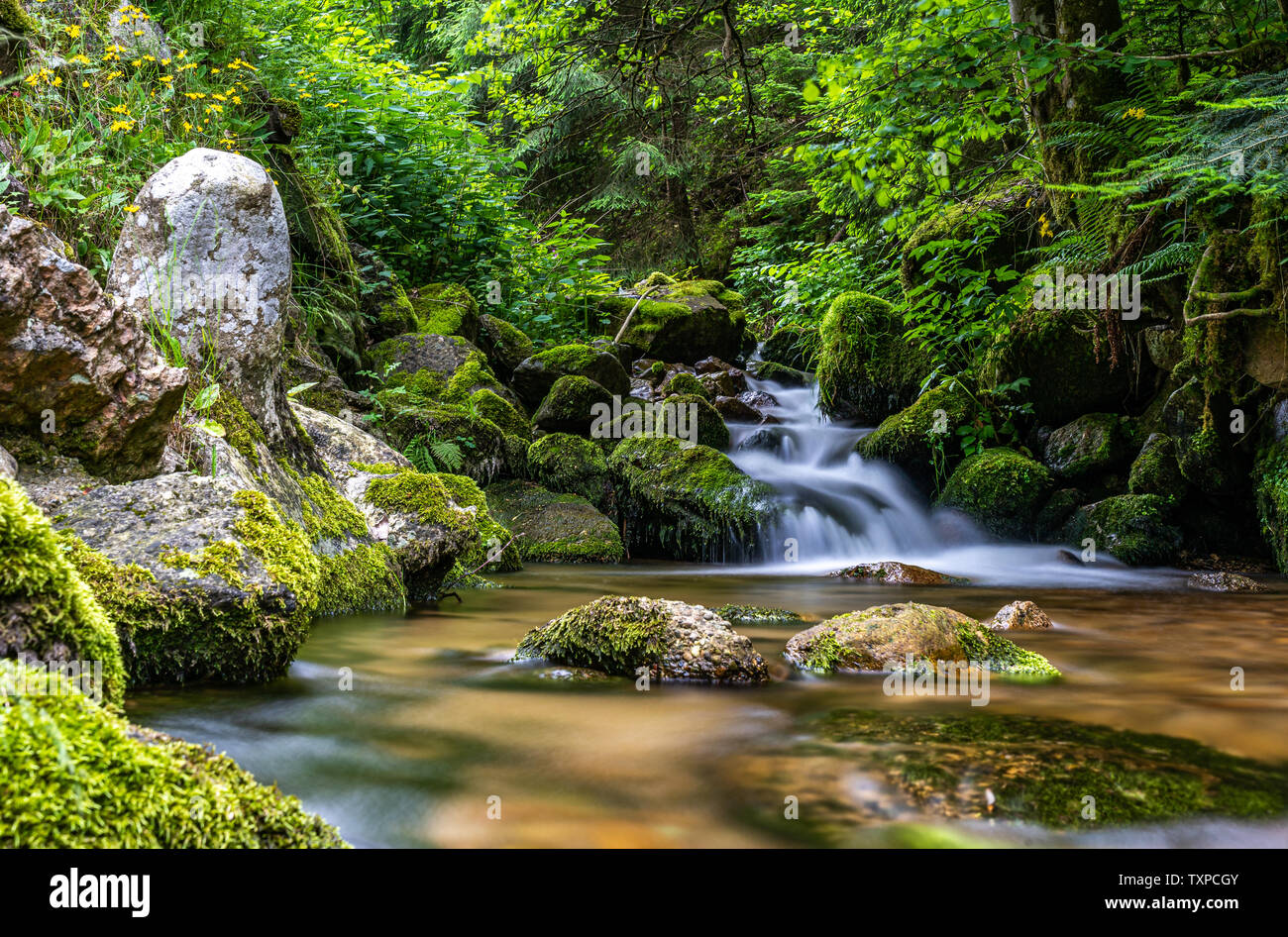 Une longue exposition shot d'une petite cascade dans la Forêt Noire, Allemagne Photo Stock - Alamy
