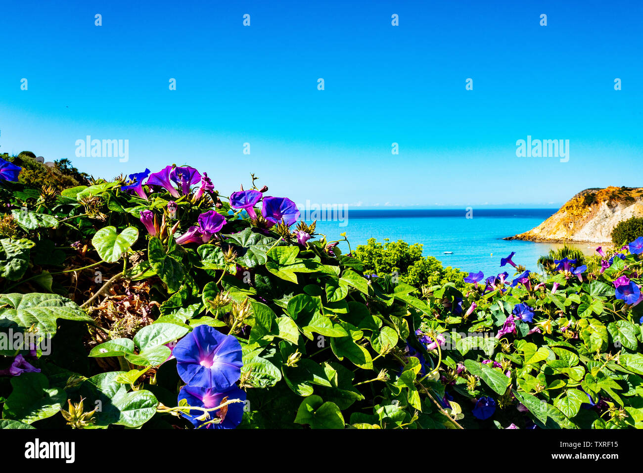 Burgau algarve portugal village Banque d'image et photos - Alamy