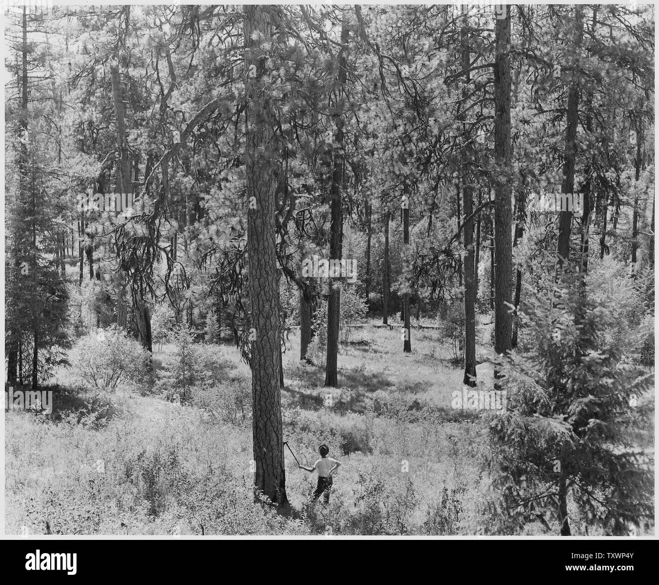 Août 1920 Banque de photographies et d’images à haute résolution - Alamy