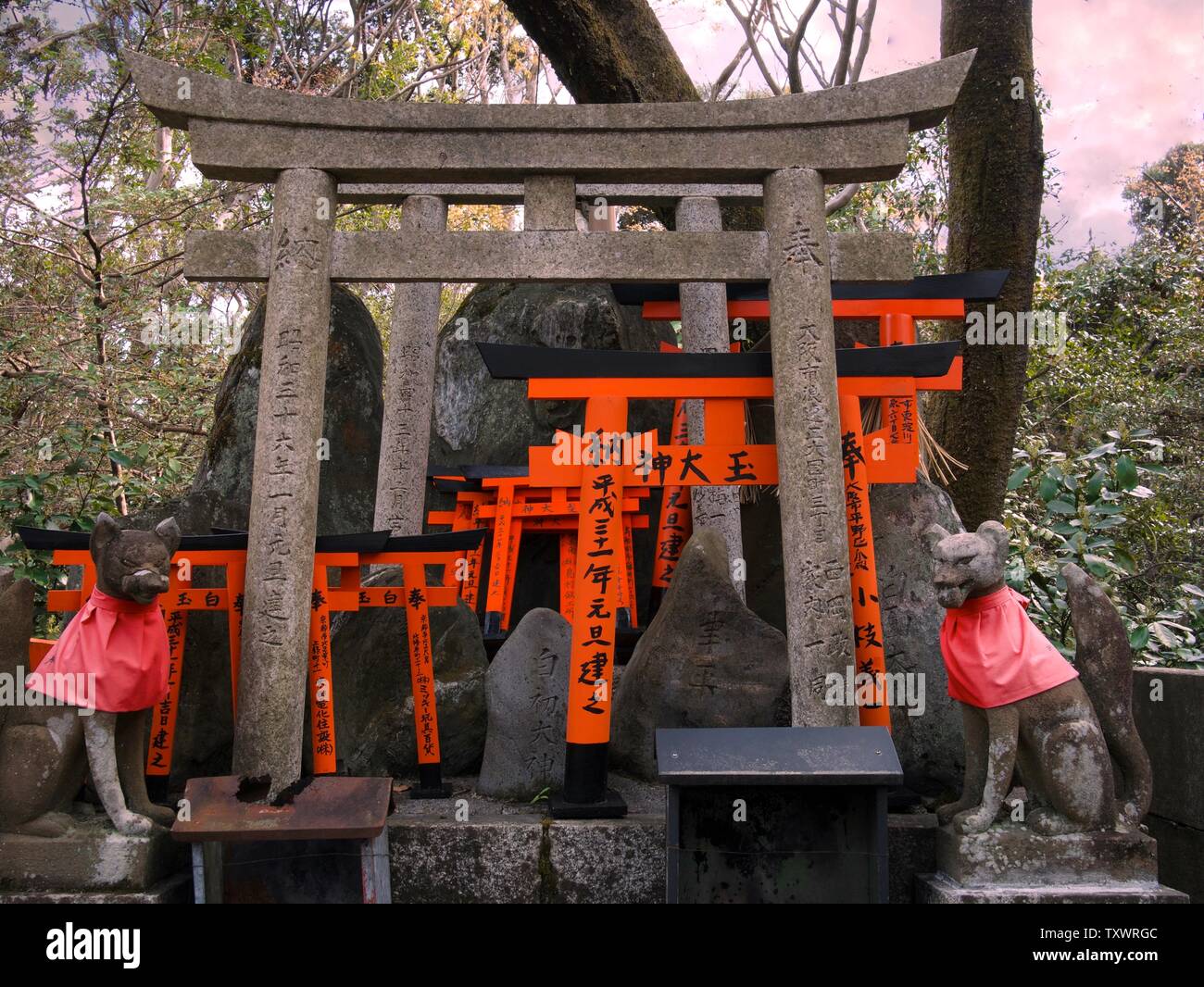 Kyoto japon shinto porte torii rouge Banque de photographies et d ...