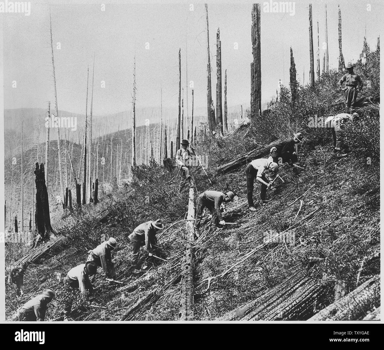 Défricher la terre Banque de photographies et d’images à haute ...