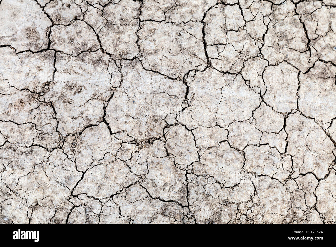 Desert soil Banque de photographies et d’images à haute résolution - Alamy