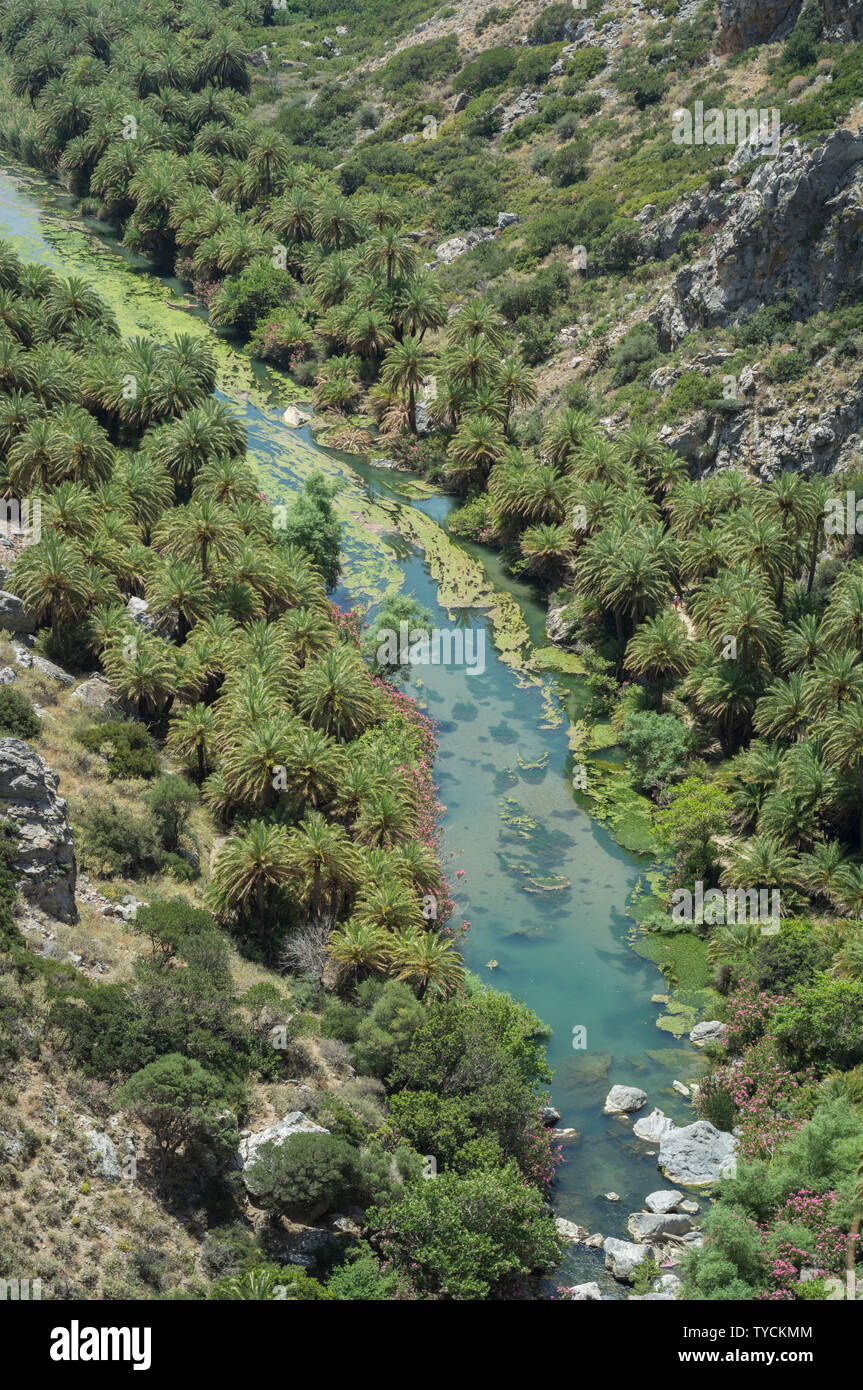 La plage des palmiers, crétois date palm, preveli, Megalopotamos ...