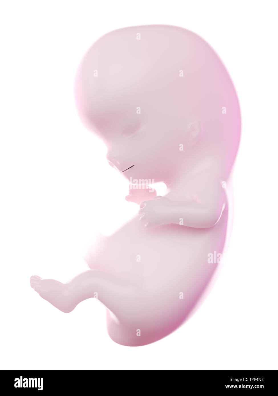 Semaine de grossesse 9 Banque de photographies et d’images à haute ...