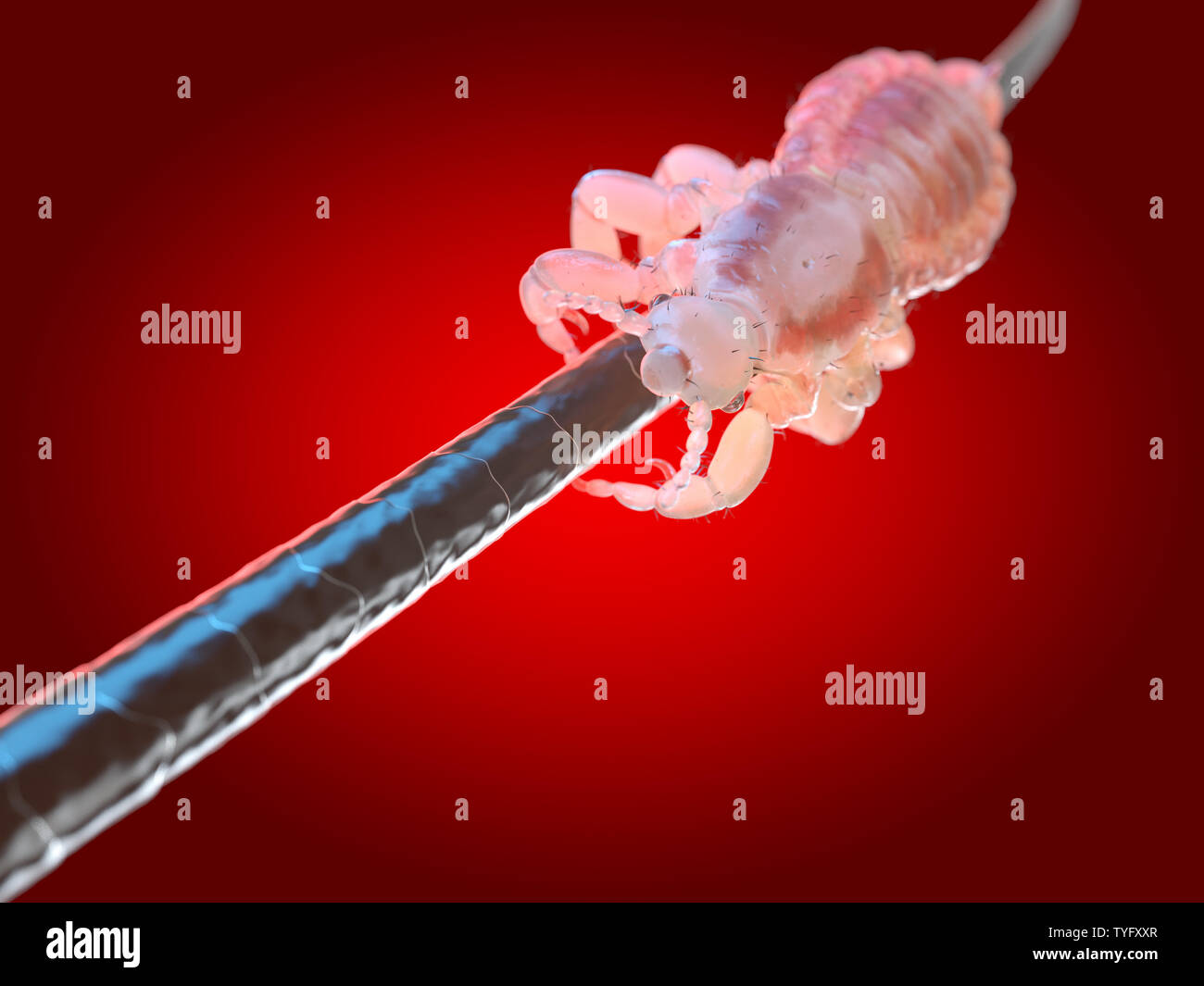 Cercle pou Banque de photographies et d’images à haute résolution - Alamy