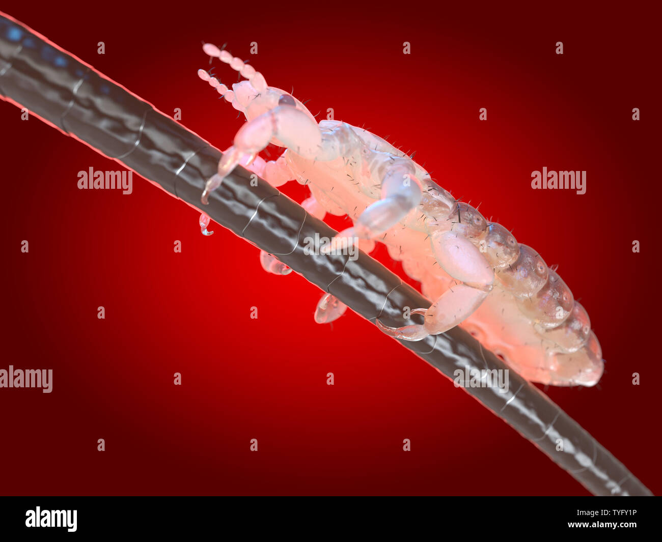 Cercle pou Banque de photographies et d’images à haute résolution - Alamy