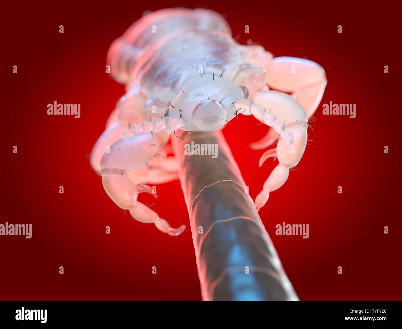 Cercle pou Banque de photographies et d’images à haute résolution - Alamy