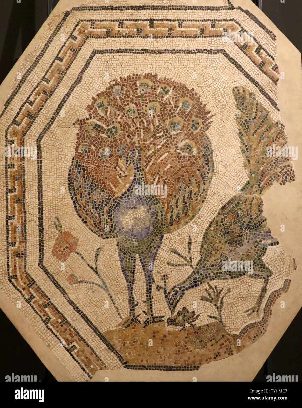 Mosaïque de paon antique Banque de photographies et d’images à haute ...