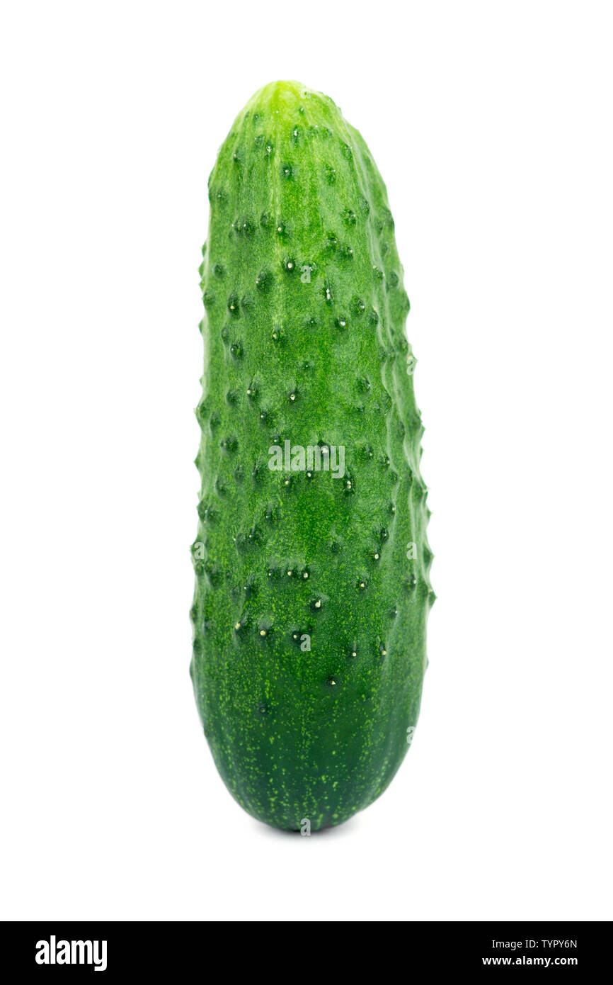 Gros concombre Banque de photographies et d’images à haute résolution ...
