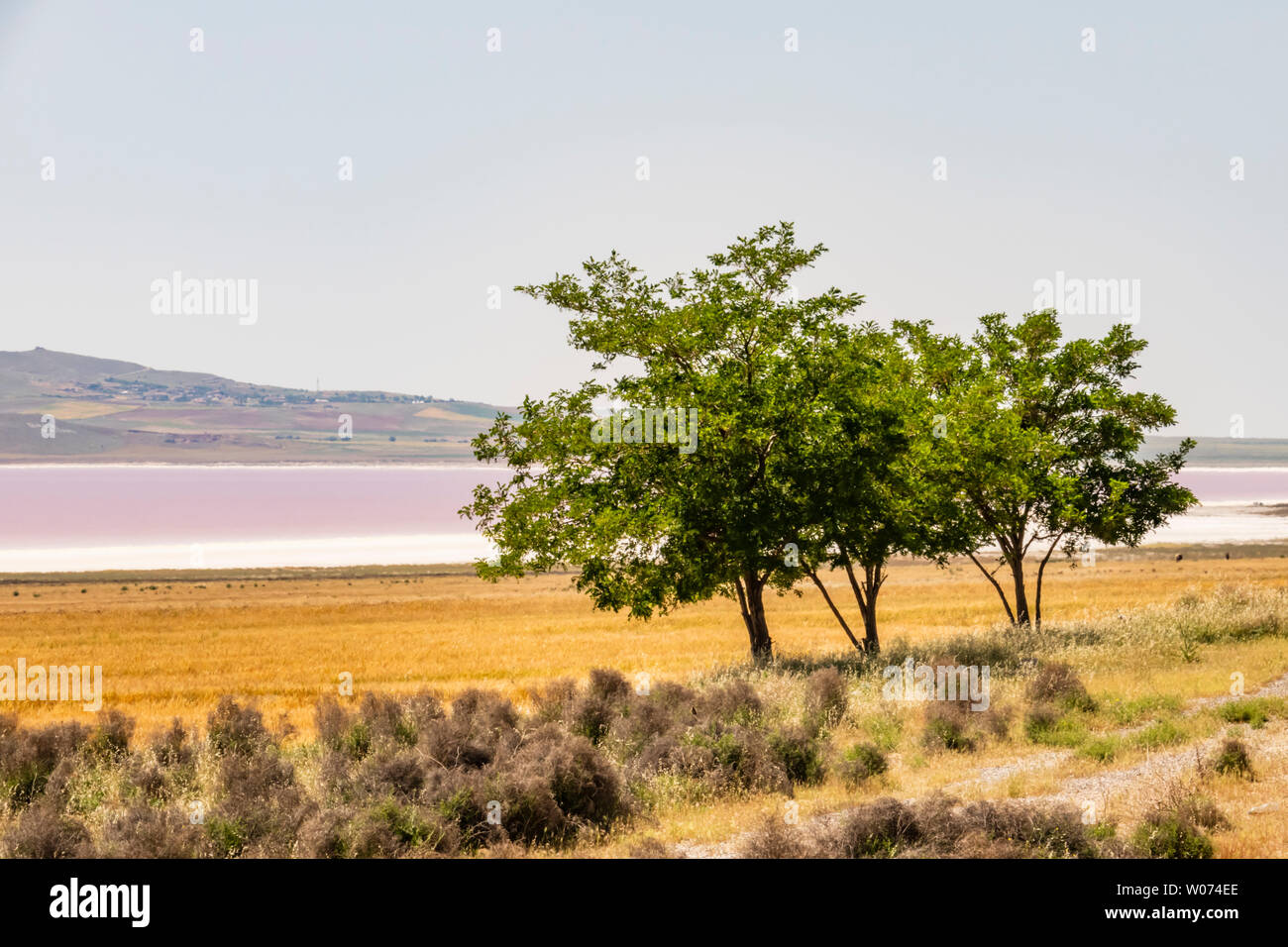 Le lac Tuz,Ankara;Turkey-May.28,2019 Tuz Lake est le deuxième plus ...