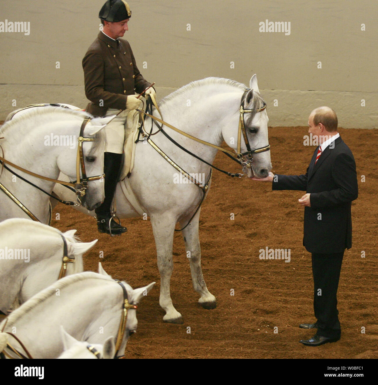 Russian president vladimir putin riding Banque de photographies et d ...
