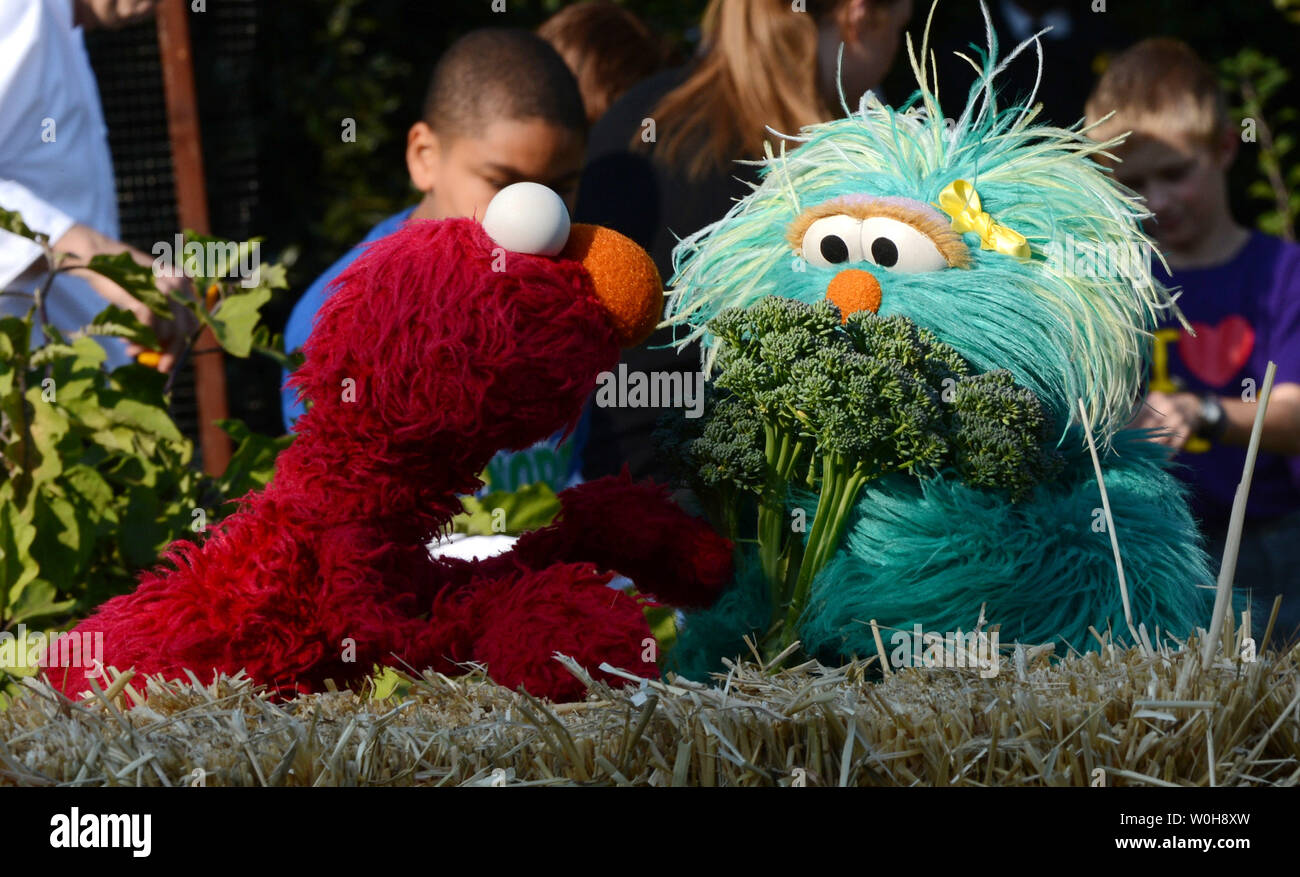 De Sesame Street Elmo et Rosita d'examiner de près le brocoli car elles ...