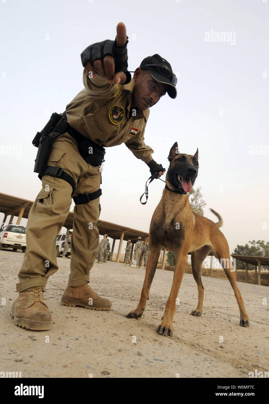 K9 irakiens Banque de photographies et d’images à haute résolution - Alamy
