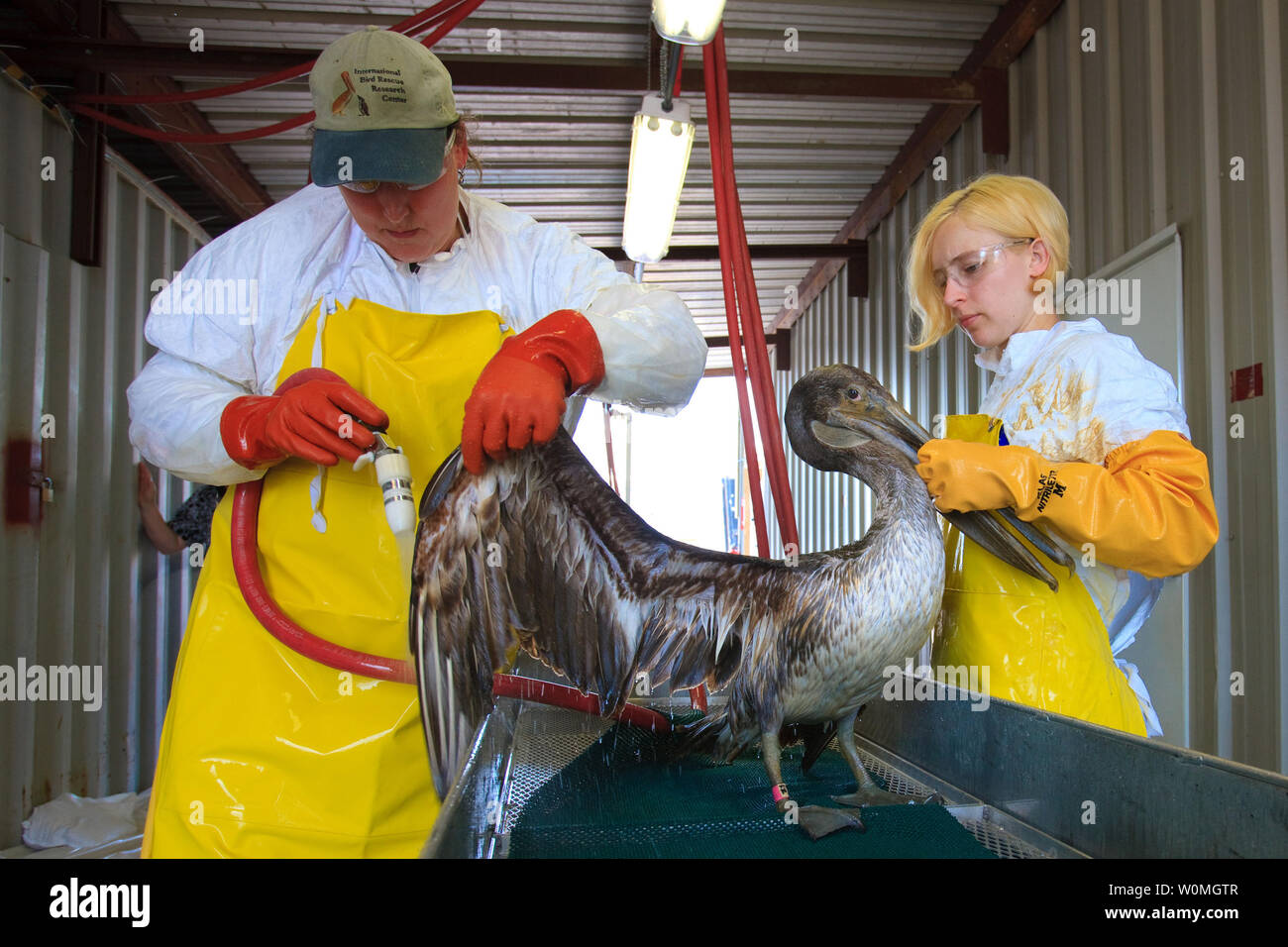Oil spill response team Banque de photographies et d’images à haute ...