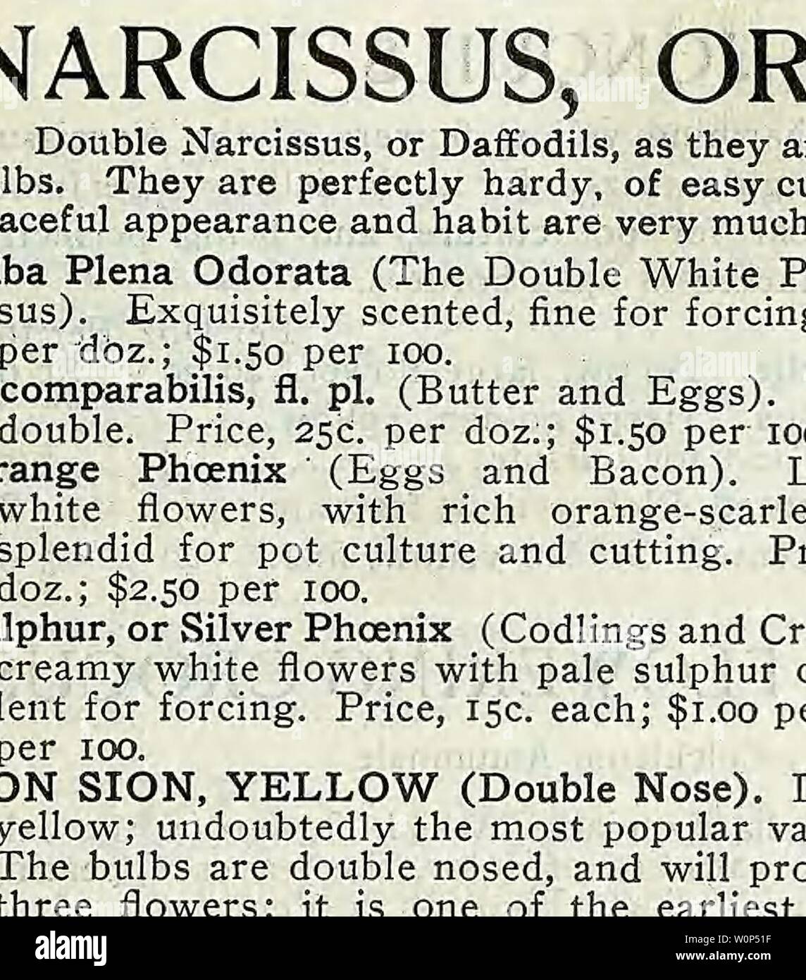 Bordures pages fleurs jaunes Banque de photographies et d’images à ...