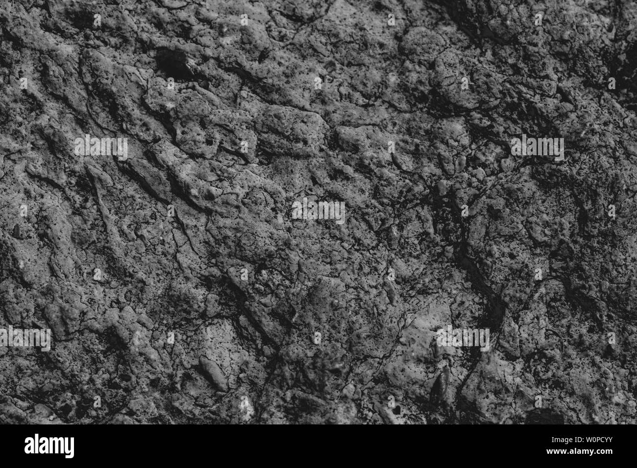 Textures de la terre Banque d'images noir et blanc - Alamy